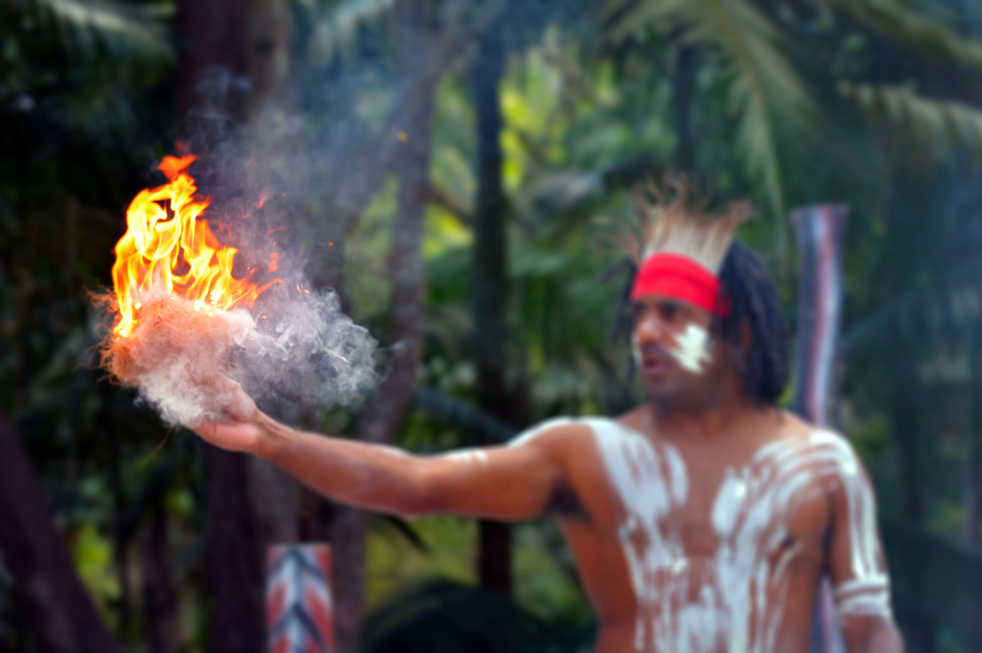 Aboriginal Cultural Burning - Cleanairtas